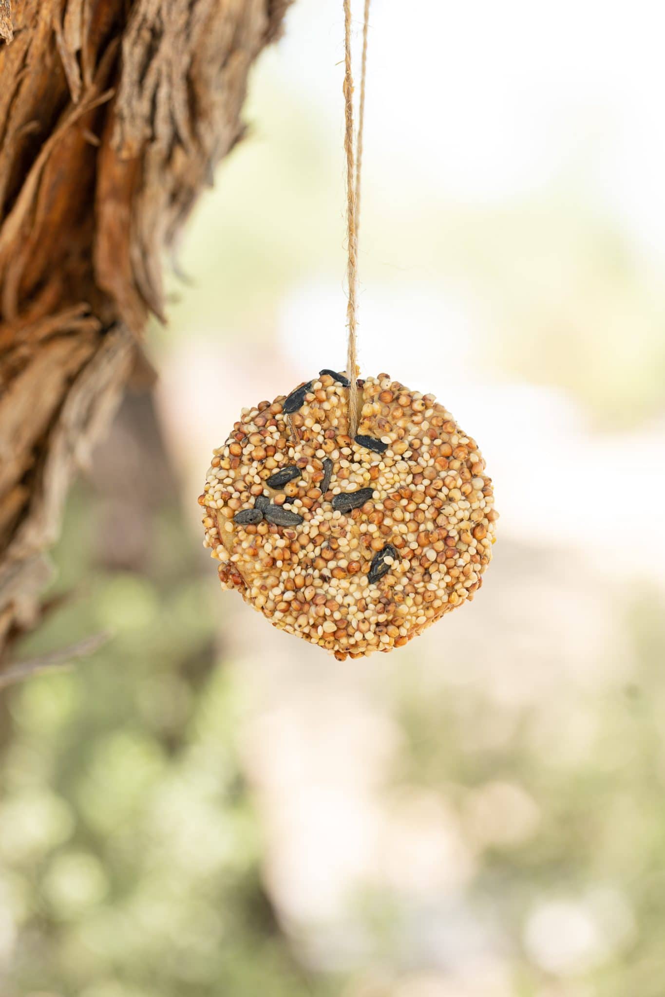 Apple Bird Feeders - Made To Be A Momma