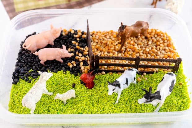 Farm Sensory Bin - Made To Be A Momma